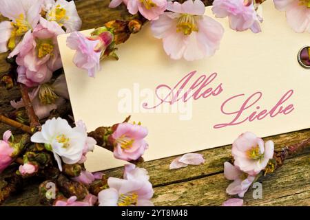 Four-leaf clover, sheet metal, cropped, good luck Stock Photo - Alamy