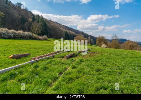 idyllic spring scenery in hohenlohe Stock Photo - Alamy