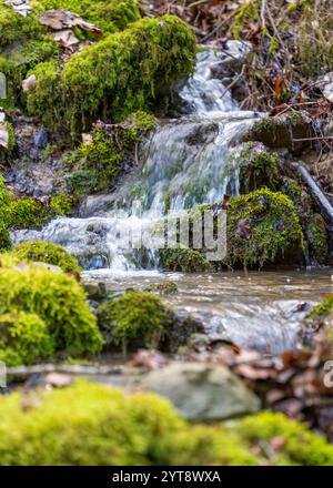 A closeup shot of a small waterfall flowing downstream in a forest with ...