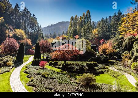 The view of trees, bushes, and floral plants with green leaves Stock ...