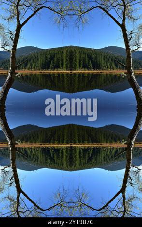 Kleiner Arbersee / Kleiner Arbersee Stock Photo - Alamy