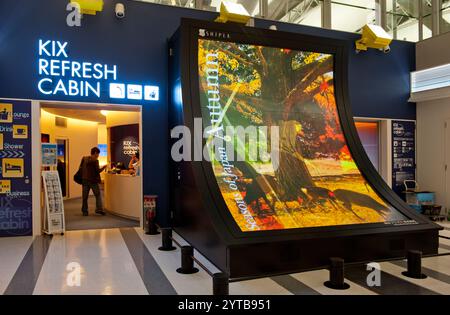 World's largest curved plasma display screen by Shinoda Plasma once ...