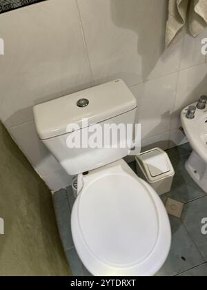 Lesser Snouted Tree Frog (Scinax nasicus), Amphibia, Bella Unión Stock ...