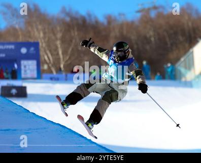 United States' Svea Irving competes during the women's freestyle skiing ...