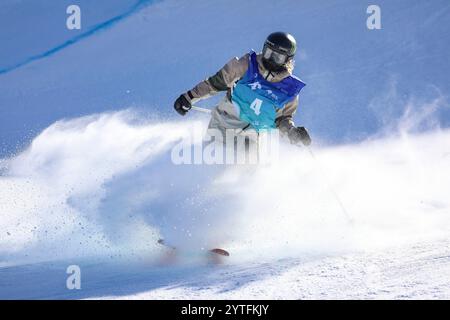 United States' Svea Irving competes during the women's freestyle skiing ...
