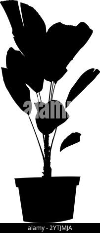 Potted plant silhouette, Sansewieria silhouette Stock Vector Image & Art - Alamy