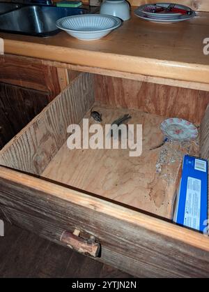 Mice, Rats, and Hamsters (Myomorpha Stock Photo - Alamy