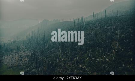 JULY 2024, CENTRAL OREGON - Route 120/26 - deforested, devestation from ...