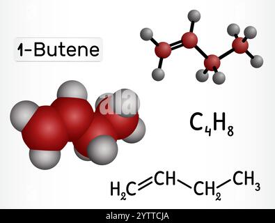 Chemical formula and molecule model of Butylene C4H8 . Vector ...