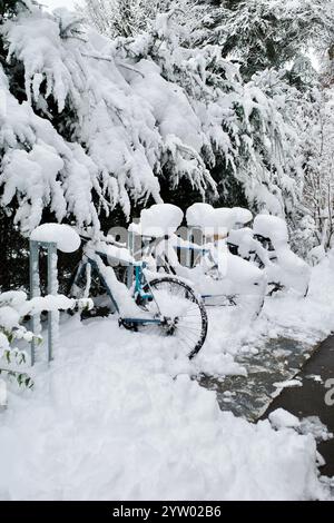 heavy snowfall in Zurich on a winter night Stock Photo - Alamy