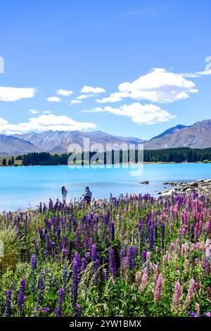 Lake Tekapo Town Centre in New Zealand Stock Photo - Alamy