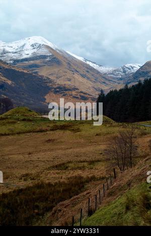 Snow-capped mountain peak with lush green forest and waterfall Stock ...