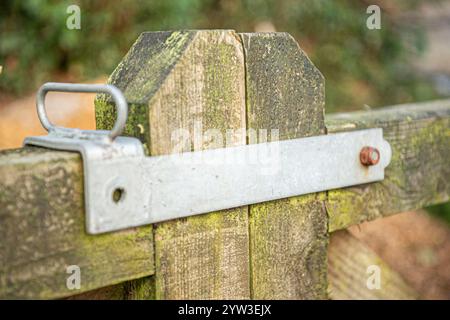 field gate latch on a pair of wooden gates Stock Photo - Alamy