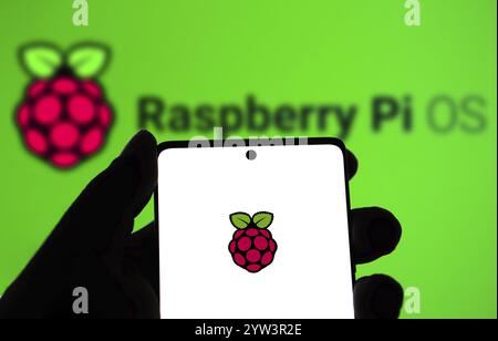 Raspberry Pi logo sign on the smartphone screen Stock Photo - Alamy