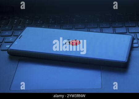 Raspberry Pi logo sign on the smartphone screen Stock Photo - Alamy