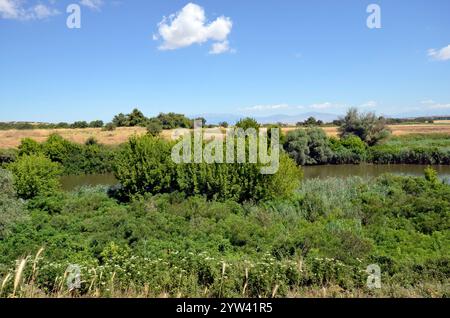 Greece, landscape along Strymon river in Amfipoli, Central Macedonia ...
