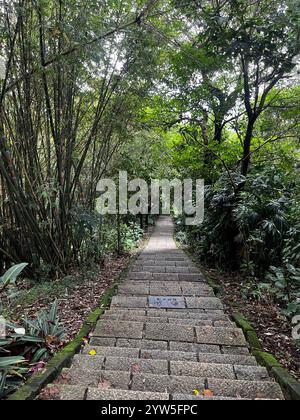 Elephant Mountain Viewpoint trail, Taipei Taiwan Stock Photo - Alamy