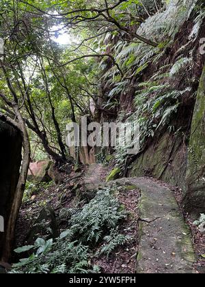 Elephant Mountain Viewpoint trail, Taipei Taiwan Stock Photo - Alamy