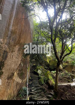 Elephant Mountain Viewpoint trail, Taipei Taiwan Stock Photo - Alamy