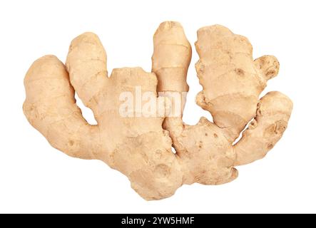 ginger path isolated on white Stock Photo - Alamy