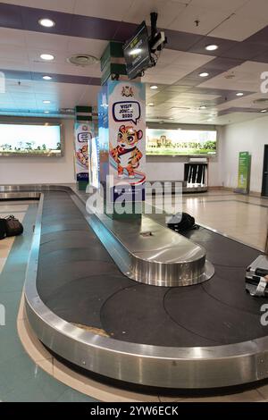 SENAI, MALAYSIA - NOVEMBER 22, 2023: close-up shot of the information ...