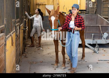 Positive female worker takes horse out of stall, holds animal by bridle ...