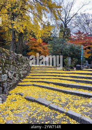 Red maple and Golden Ginkgo Leaves Adorning Stone Steps Stock Photo - Alamy