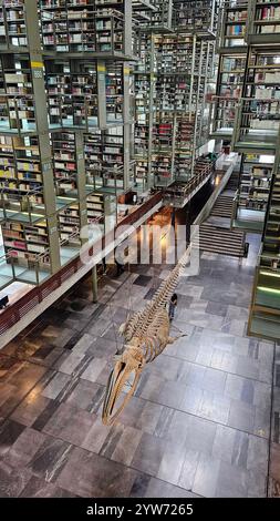 Interior view of Vasconcelos Library in the Downtown area of Mexico ...