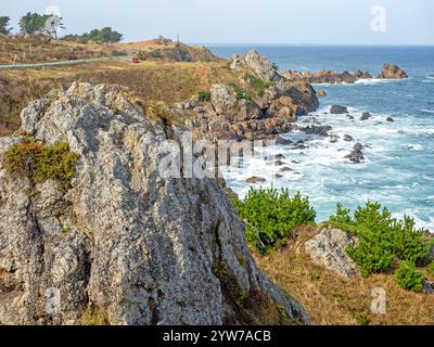 The Tanesashi Coast at Ashigezaki lookout Stock Photo - Alamy