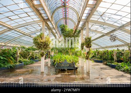 Botanical gardens Mexico City Chapultepec Stock Photo - Alamy