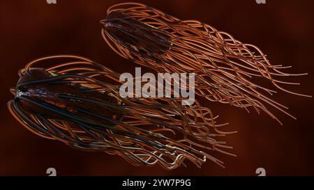 3d rendering of isolated Proteus mirabilis bacteria. This bacterium is ...