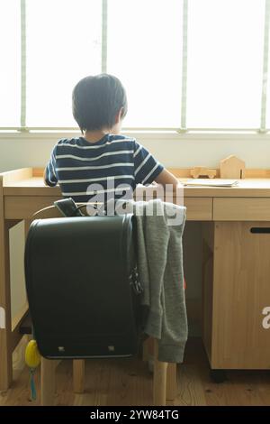Primary schools boy studying, back view Stock Photo - Alamy