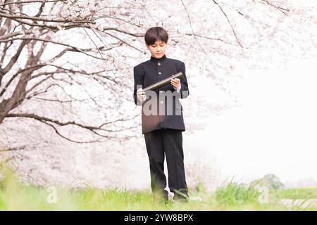 Junior high school students Spring Stock Photo - Alamy
