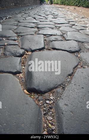 ancient road with paved stone blocks at night Stock Photo - Alamy