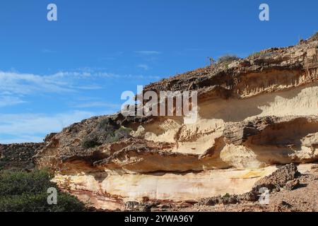Fossil traces of Skolithos-worms in the Tumblagooda Sandstone in ...