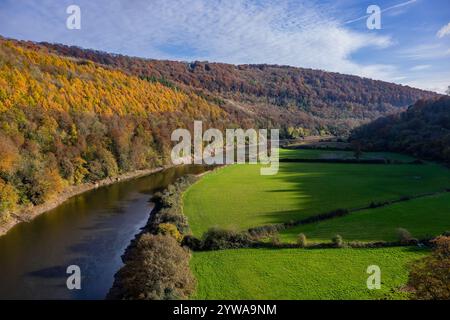 Beautiful shot of a river surrounded by trees under a pinkish sky ...