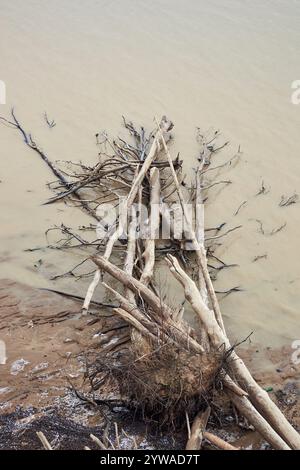 Mocha mousse - color of 2025 year. Liquid foundation, top view Stock ...