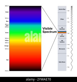 Diagram of the electromagnetic spectrum, with visible spectrum and ...