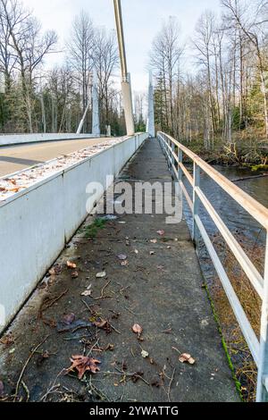 On the brdige at Falming Geyser State Park in Washington State Stock ...
