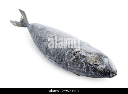 One frozen mackerel fish isolated on white Stock Photo - Alamy