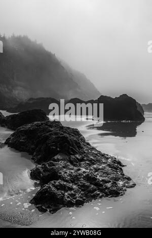 Oregon Coast at Neptune State Scenic Viewpoint, Oregon, USA Stock Photo ...