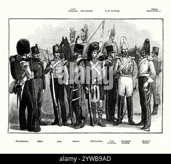 History, Victorian British army military uniforms, soldier, 12th Royal ...