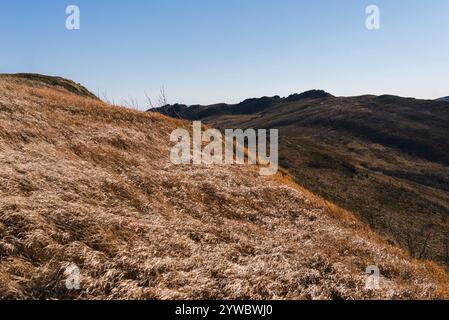 Photo of Blue Trail to Bukowe Berdo. Autumn in Bieszczady Mountains ...