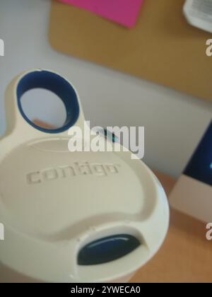 Metallic Bluish-green Cuckoo Wasp (Chrysis angolensis) Insecta Stock ...