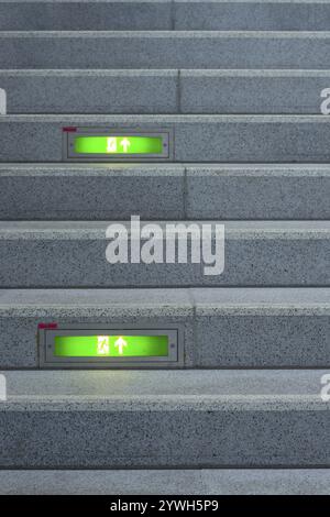 Germany, Europe, green, sign, luminous sign, emergency, exit, emergency ...