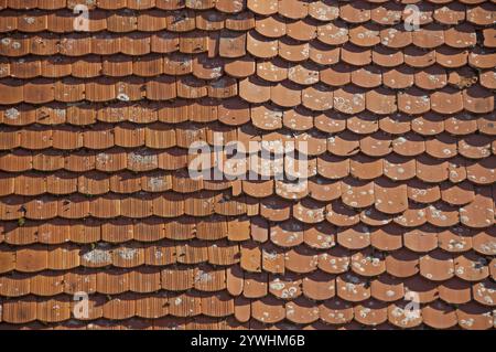 Plain tile roof panels, Germany, Europe Stock Photo - Alamy