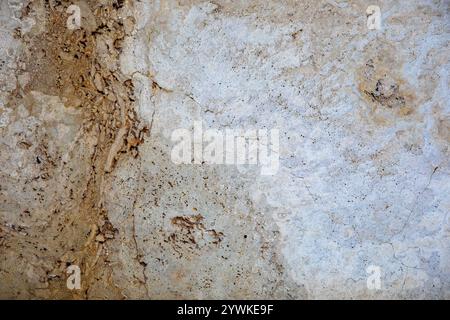 Random, Unique, Natural Cannstatter Travertine Texture - Freshwater ...