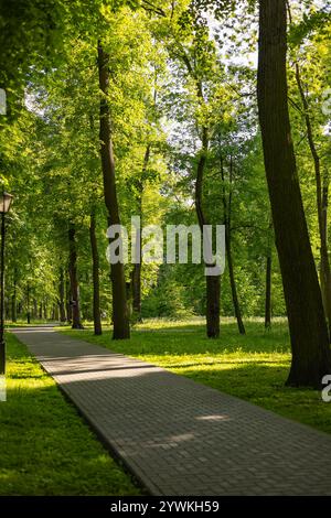 Paved path in the shade in a park Stock Photo - Alamy