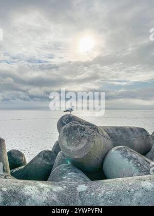 The concrete blocks on the coast of Peniche in the district of Leiria ...