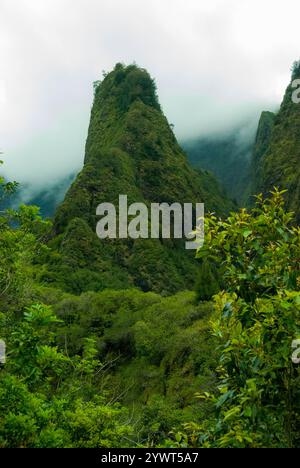 Scenic view of the Iao Valley in Wailuku, USA Stock Photo - Alamy